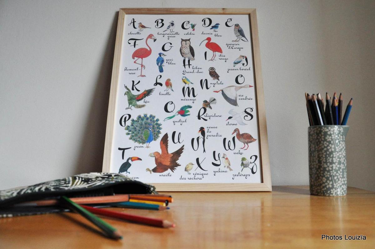 Abécédaire des oiseaux - Louizïa